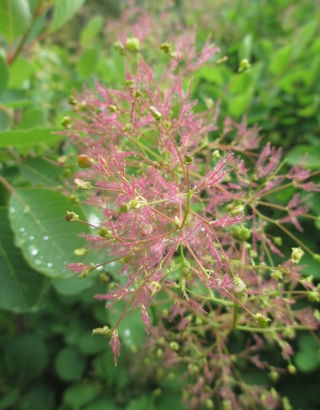 Methoden | Mag.a Sabine Sattler - Systemische Familientherapie